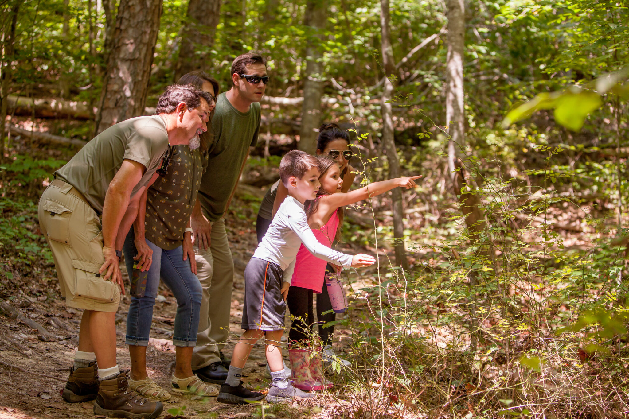 5 Fun Things To Do at Haw Ridge Park in Oak Ridge - Adventure Anderson