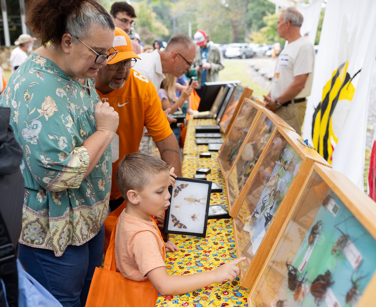 Butterfly Festival - Adventure Anderson