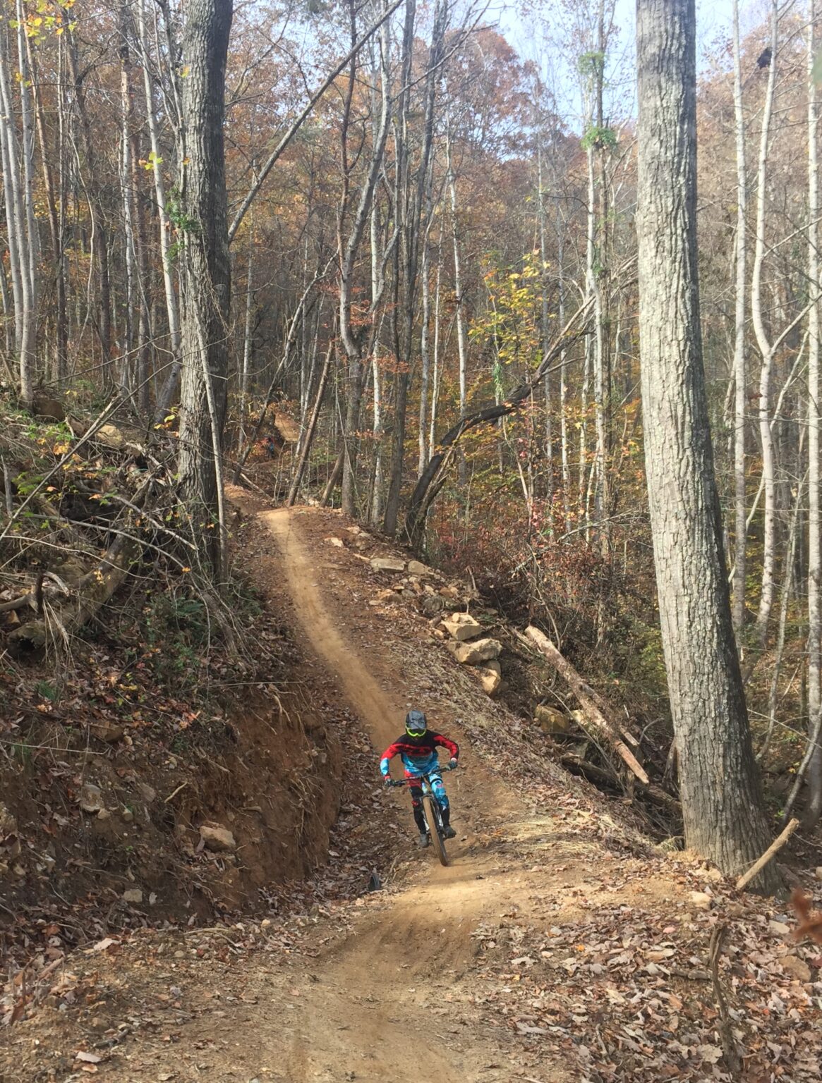 5 Things You Must Do at Windrock Park - Adventure Anderson