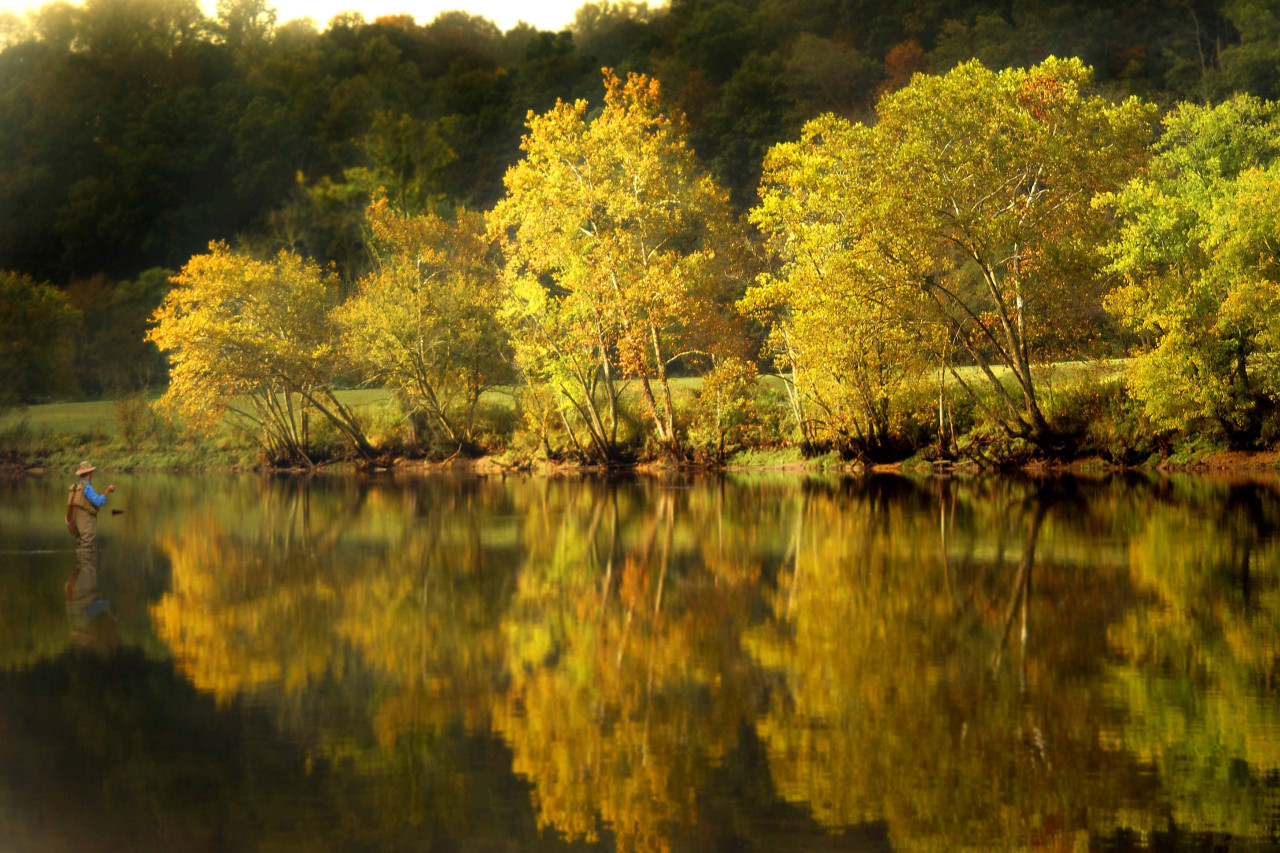 Fish the Clinch - Adventure Anderson